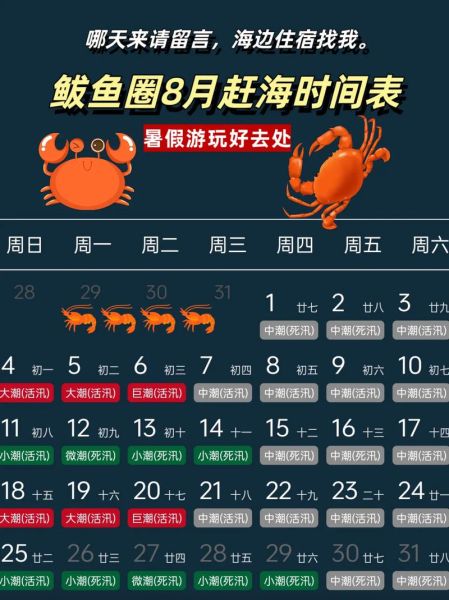 鲅鱼圈赶海最佳时间_鲅鱼圈赶海地点推荐-第1张图片-山城妙识 鲅鱼圈赶海最佳时间_鲅鱼圈赶海地点推荐-第1张图片-山城妙识