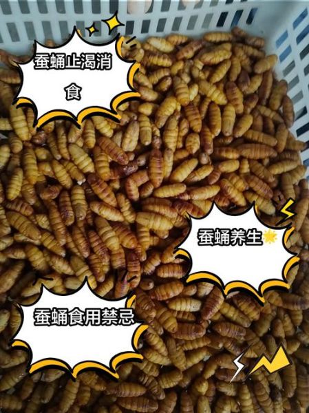 连续吃蚕蛹一个月会怎样_蚕蛹每天吃多少合适-第2张图片-山城妙识 连续吃蚕蛹一个月会怎样_蚕蛹每天吃多少合适-第2张图片-山城妙识