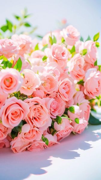 粉玫瑰图片高清壁纸哪里找_粉玫瑰图片怎么拍才好看-第1张图片-山城妙识 粉玫瑰图片高清壁纸哪里找_粉玫瑰图片怎么拍才好看-第1张图片-山城妙识