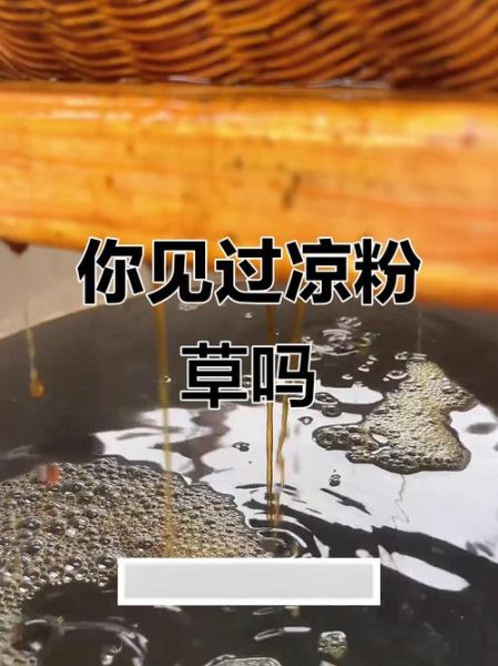 凉粉草是薄荷吗_两者区别与功效对比-第1张图片-山城妙识 凉粉草是薄荷吗_两者区别与功效对比-第1张图片-山城妙识