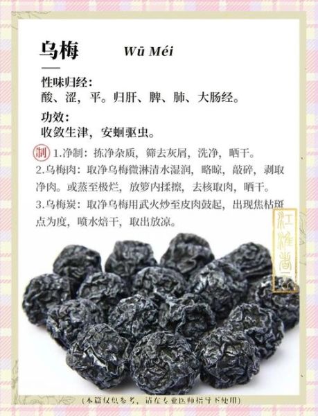 药用乌梅和食用乌梅的区别_如何区分-第3张图片-山城妙识 药用乌梅和食用乌梅的区别_如何区分-第3张图片-山城妙识