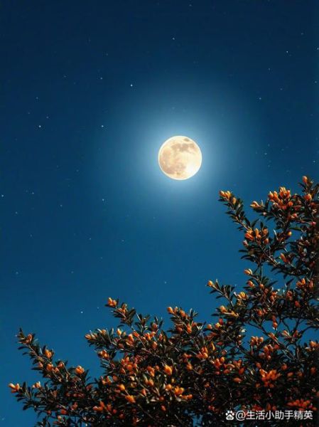 中秋赏月图片怎么拍_哪里拍月亮最美-第2张图片-山城妙识 中秋赏月图片怎么拍_哪里拍月亮最美-第2张图片-山城妙识