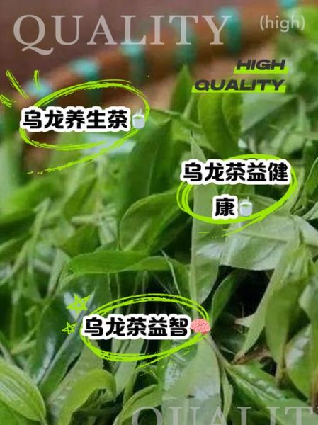 黑乌龙茶能减肥吗_黑乌龙茶的功效与作用-第2张图片-山城妙识 黑乌龙茶能减肥吗_黑乌龙茶的功效与作用-第2张图片-山城妙识