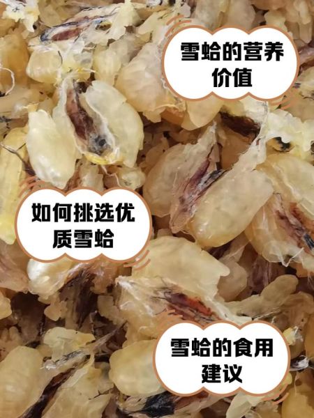 雪蛤价格多少钱一斤_雪蛤价格为什么差别大-第2张图片-山城妙识 雪蛤价格多少钱一斤_雪蛤价格为什么差别大-第2张图片-山城妙识