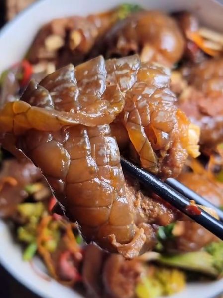 鳄鱼肉怎么做_鳄鱼肉怎么做好吃-第2张图片-山城妙识 鳄鱼肉怎么做_鳄鱼肉怎么做好吃-第2张图片-山城妙识