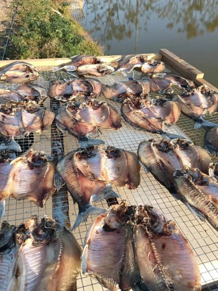 腊鱼多少钱一斤_腊鱼价格行情-第2张图片-山城妙识