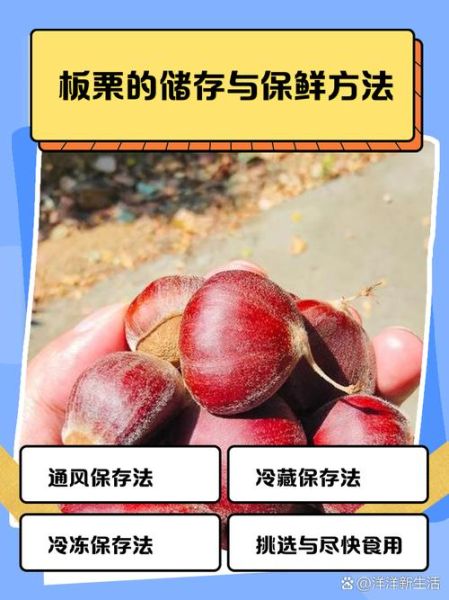 板栗怎么保存不会坏_新鲜板栗能放多久-第1张图片-山城妙识 板栗怎么保存不会坏_新鲜板栗能放多久-第1张图片-山城妙识
