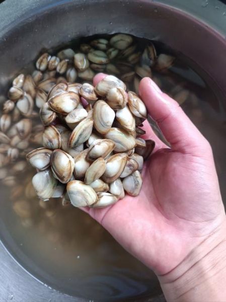 海瓜子怎么清洗_海瓜子怎么炒才入味-第3张图片-山城妙识