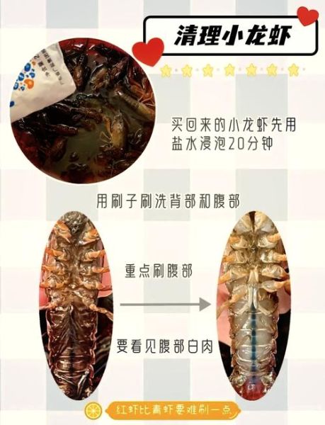 龙虾怎么处理比较干净_龙虾清洗步骤详解-第1张图片-山城妙识