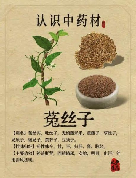 菟丝子能提高性功能吗_菟丝子怎么吃效果最好-第1张图片-山城妙识 菟丝子能提高性功能吗_菟丝子怎么吃效果最好-第1张图片-山城妙识