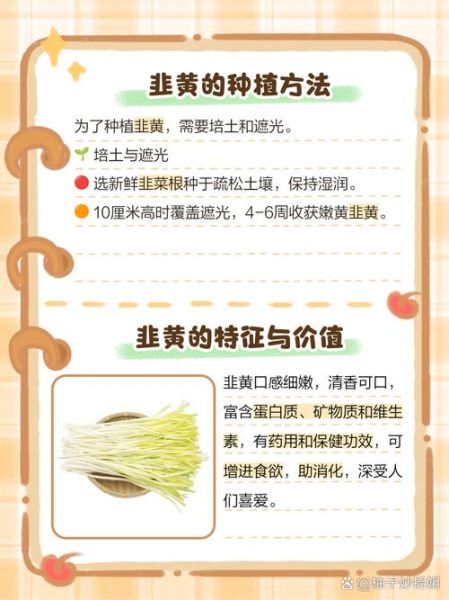 韭黄和韭菜有什么区别_哪个更有营养-第1张图片-山城妙识 韭黄和韭菜有什么区别_哪个更有营养-第1张图片-山城妙识