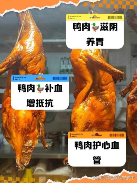 鸭肉的功效与作用及禁忌_什么人不能吃鸭肉-第2张图片-山城妙识