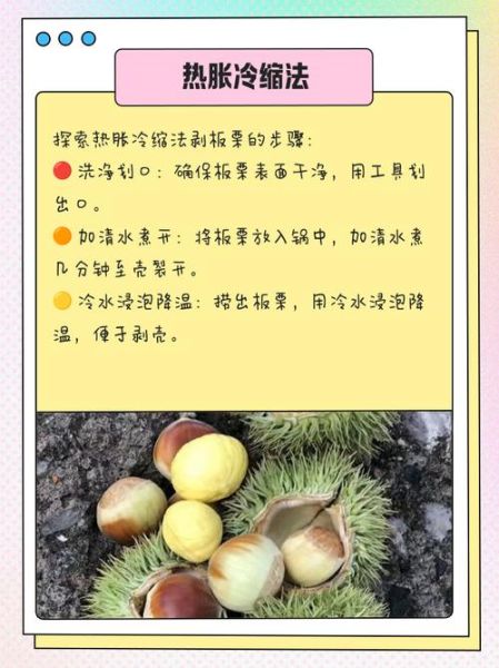 栗子怎样好剥皮_生栗子快速去皮方法-第2张图片-山城妙识