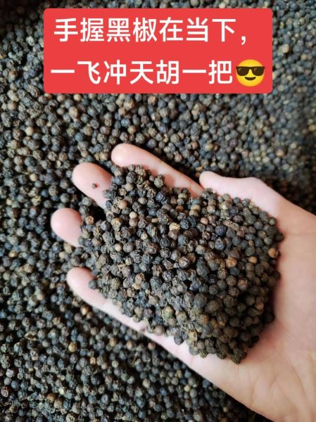 黑胡椒价格最新行情_黑胡椒为什么涨价-第1张图片-山城妙识 黑胡椒价格最新行情_黑胡椒为什么涨价-第1张图片-山城妙识