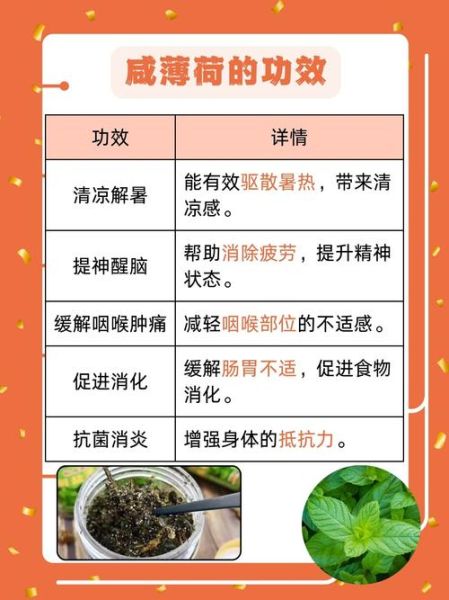 薄荷健康减肥有用吗_薄荷健康减肥怎么吃-第1张图片-山城妙识