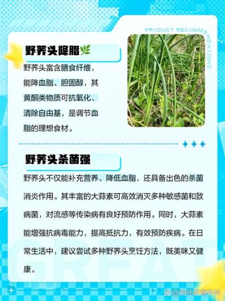 荞头有什么功效与作用_荞头怎么吃最营养-第1张图片-山城妙识