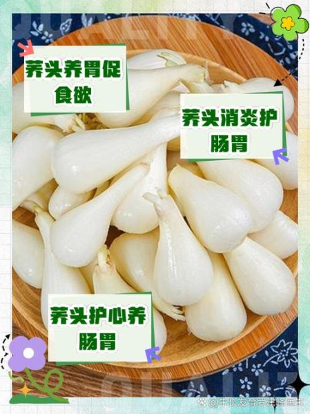 荞头有什么功效与作用_荞头怎么吃最营养-第3张图片-山城妙识