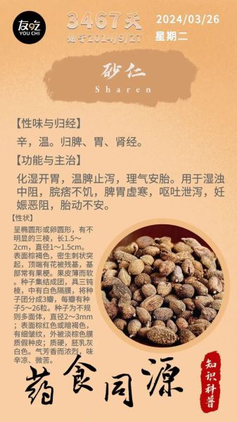 砂仁有几种_砂仁品种区别与功效-第1张图片-山城妙识 砂仁有几种_砂仁品种区别与功效-第1张图片-山城妙识