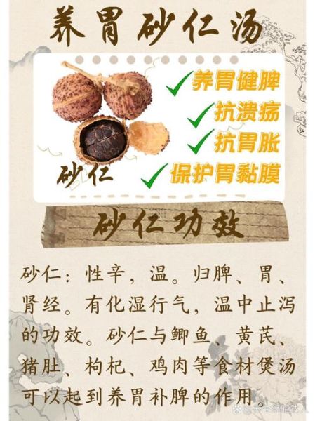 砂仁有几种_砂仁品种区别与功效-第3张图片-山城妙识 砂仁有几种_砂仁品种区别与功效-第3张图片-山城妙识