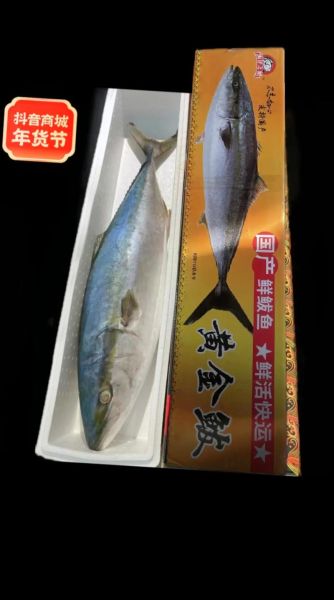 黄金鲅鱼的营养价值_黄金鲅鱼的功效与作用-第1张图片-山城妙识 黄金鲅鱼的营养价值_黄金鲅鱼的功效与作用-第1张图片-山城妙识