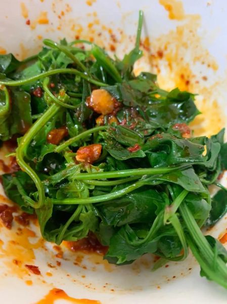 凉拌灰灰菜怎么做_灰灰菜焯水几分钟-第2张图片-山城妙识 凉拌灰灰菜怎么做_灰灰菜焯水几分钟-第2张图片-山城妙识