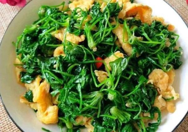 凉拌灰灰菜怎么做_灰灰菜焯水几分钟-第1张图片-山城妙识 凉拌灰灰菜怎么做_灰灰菜焯水几分钟-第1张图片-山城妙识