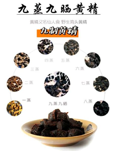 黄精长什么样_黄精图片如何鉴别真假-第1张图片-山城妙识 黄精长什么样_黄精图片如何鉴别真假-第1张图片-山城妙识