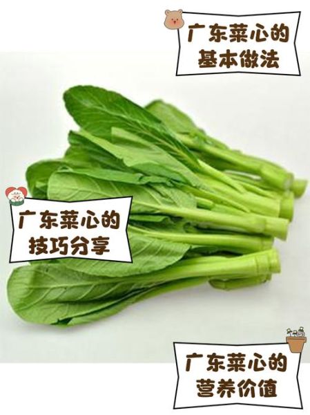 菜心品种哪种最好吃_广东人最爱哪一款-第2张图片-山城妙识 菜心品种哪种最好吃_广东人最爱哪一款-第2张图片-山城妙识