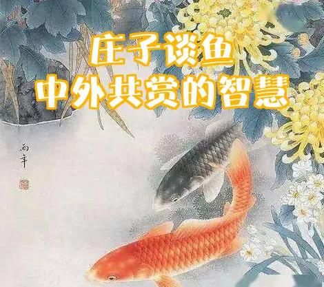 子非鱼是什么意思_庄子与惠子辩论寓意-第1张图片-山城妙识