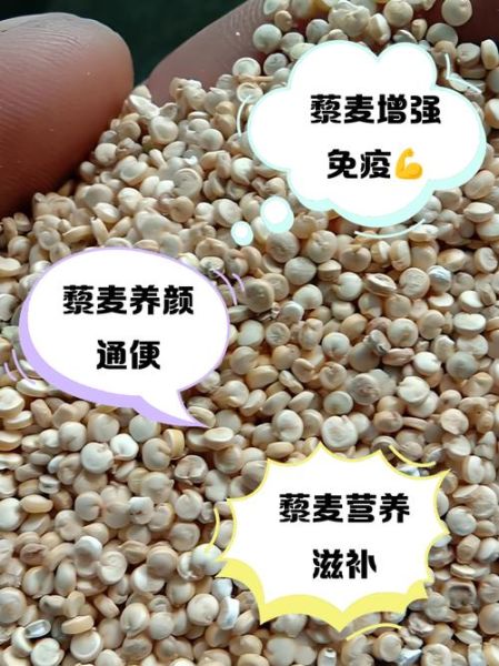 黑藜麦的功效与作用_黑藜麦怎么吃才减肥-第3张图片-山城妙识 黑藜麦的功效与作用_黑藜麦怎么吃才减肥-第3张图片-山城妙识