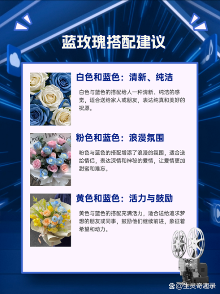 蓝玫瑰花语是什么_蓝玫瑰适合送谁-第2张图片-山城妙识 蓝玫瑰花语是什么_蓝玫瑰适合送谁-第2张图片-山城妙识