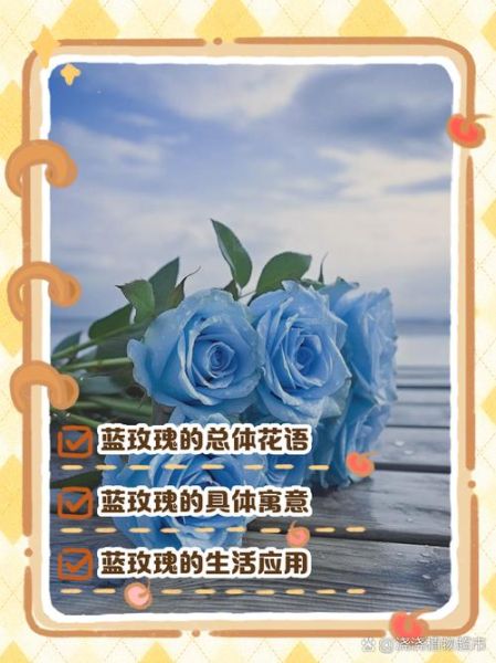 蓝玫瑰花语是什么_蓝玫瑰适合送谁-第1张图片-山城妙识 蓝玫瑰花语是什么_蓝玫瑰适合送谁-第1张图片-山城妙识