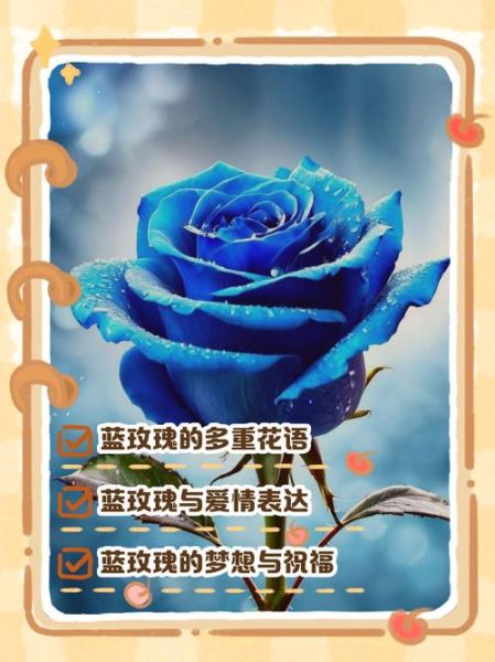 蓝玫瑰花语是什么_蓝玫瑰适合送谁-第3张图片-山城妙识 蓝玫瑰花语是什么_蓝玫瑰适合送谁-第3张图片-山城妙识
