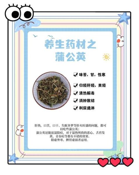 蒲公英的功效与作用_蒲公英的禁忌有哪些-第2张图片-山城妙识