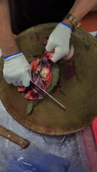 杀甲鱼最简单的方法_如何快速杀甲鱼-第2张图片-山城妙识 杀甲鱼最简单的方法_如何快速杀甲鱼-第2张图片-山城妙识