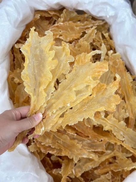 鳕鱼胶的功效与作用_鳕鱼胶怎么泡发最好-第1张图片-山城妙识 鳕鱼胶的功效与作用_鳕鱼胶怎么泡发最好-第1张图片-山城妙识