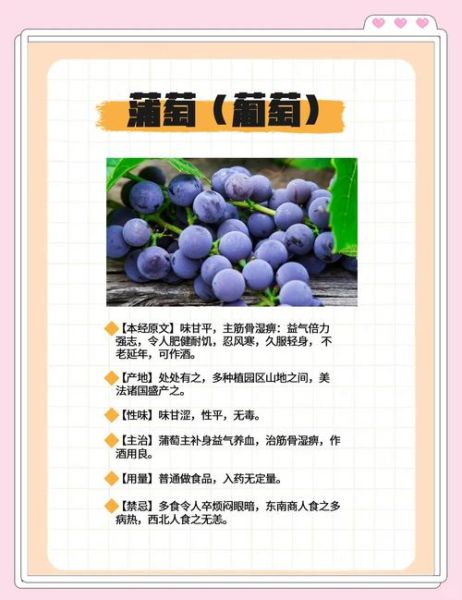 葡萄的功效与作用有哪些_葡萄的禁忌是什么-第2张图片-山城妙识 葡萄的功效与作用有哪些_葡萄的禁忌是什么-第2张图片-山城妙识