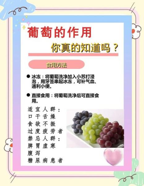 葡萄的功效与作用有哪些_葡萄的禁忌是什么-第1张图片-山城妙识 葡萄的功效与作用有哪些_葡萄的禁忌是什么-第1张图片-山城妙识