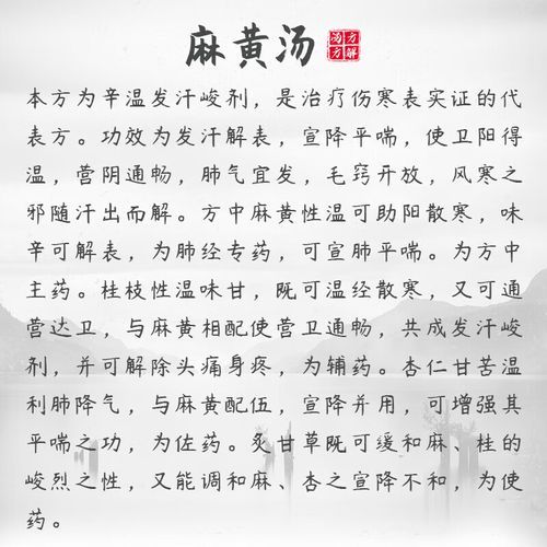 麻黄汤组成是什么_麻黄汤的功效与作用-第3张图片-山城妙识 麻黄汤组成是什么_麻黄汤的功效与作用-第3张图片-山城妙识