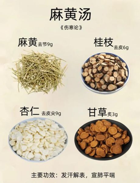 麻黄汤组成是什么_麻黄汤的功效与作用-第1张图片-山城妙识 麻黄汤组成是什么_麻黄汤的功效与作用-第1张图片-山城妙识