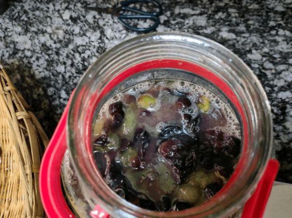 葡萄酒的做法_自酿全过程-第1张图片-山城妙识