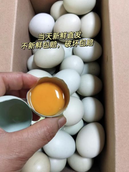 绿壳鸡蛋的营养价值_真假绿壳鸡蛋怎么辨别-第2张图片-山城妙识