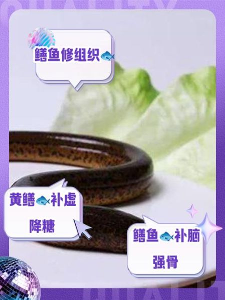 黄鳝的营养价值高吗_吃黄鳝有哪些好处-第3张图片-山城妙识