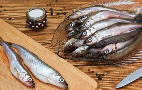 胡瓜鱼怎么做好吃_胡瓜鱼营养价值高吗-第3张图片-山城妙识