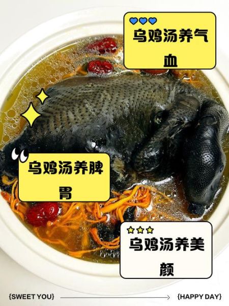 乌鸡汤怎么炖最补血_乌鸡汤的功效与禁忌-第1张图片-山城妙识 乌鸡汤怎么炖最补血_乌鸡汤的功效与禁忌-第1张图片-山城妙识