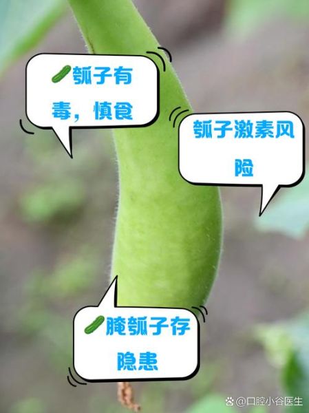 瓠子中间的籽要去掉吗_瓠子籽能吃吗-第1张图片-山城妙识 瓠子中间的籽要去掉吗_瓠子籽能吃吗-第1张图片-山城妙识