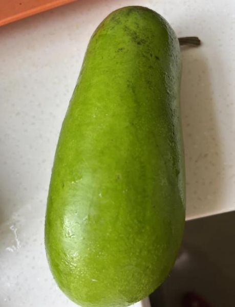 瓠子中间的籽要去掉吗_瓠子籽能吃吗-第2张图片-山城妙识 瓠子中间的籽要去掉吗_瓠子籽能吃吗-第2张图片-山城妙识