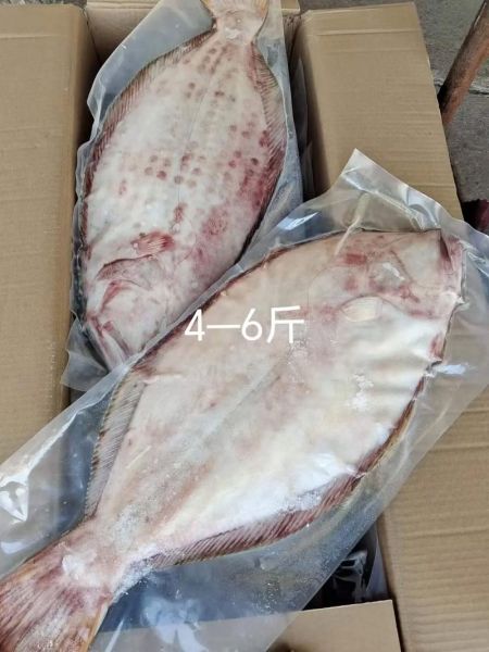 鸦片鱼多少钱一斤_鸦片鱼最新价格行情-第1张图片-山城妙识