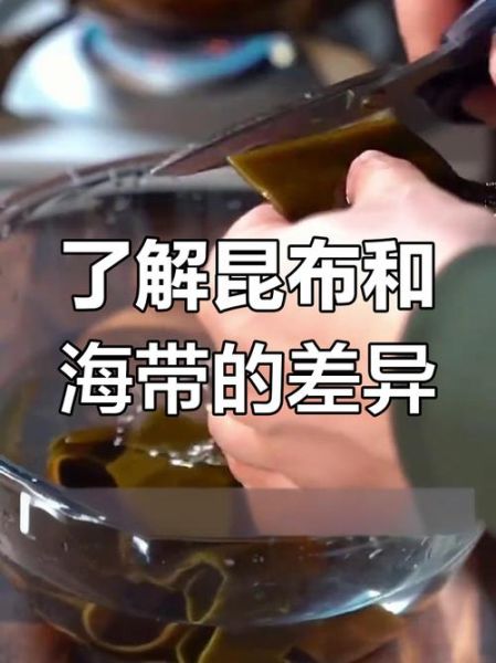 昆布图片_昆布和海带有什么区别-第1张图片-山城妙识