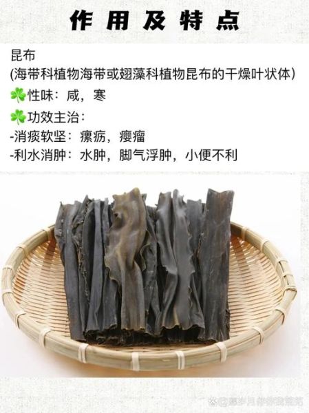 昆布图片_昆布和海带有什么区别-第2张图片-山城妙识